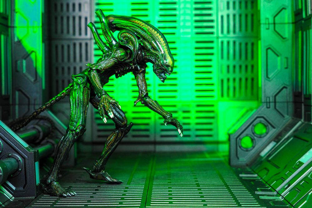 You Are Here, But You Are Not Supposed To Be Here, Three Movies That ...